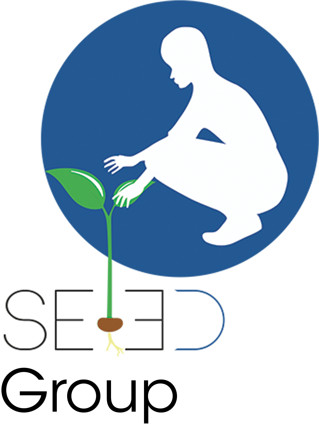 Seed-Groupe